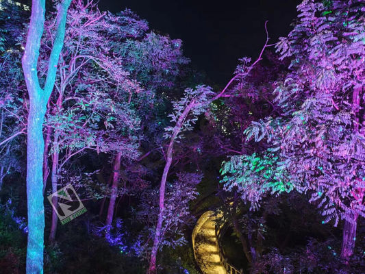 1000mW Laser Show with High Speed XY Scanner Module and Cooling System ...